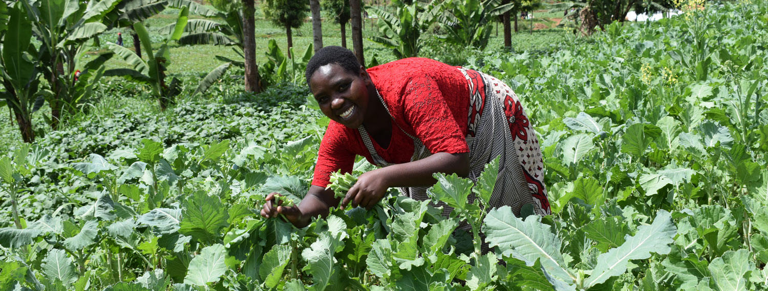 Kenya | ASA International